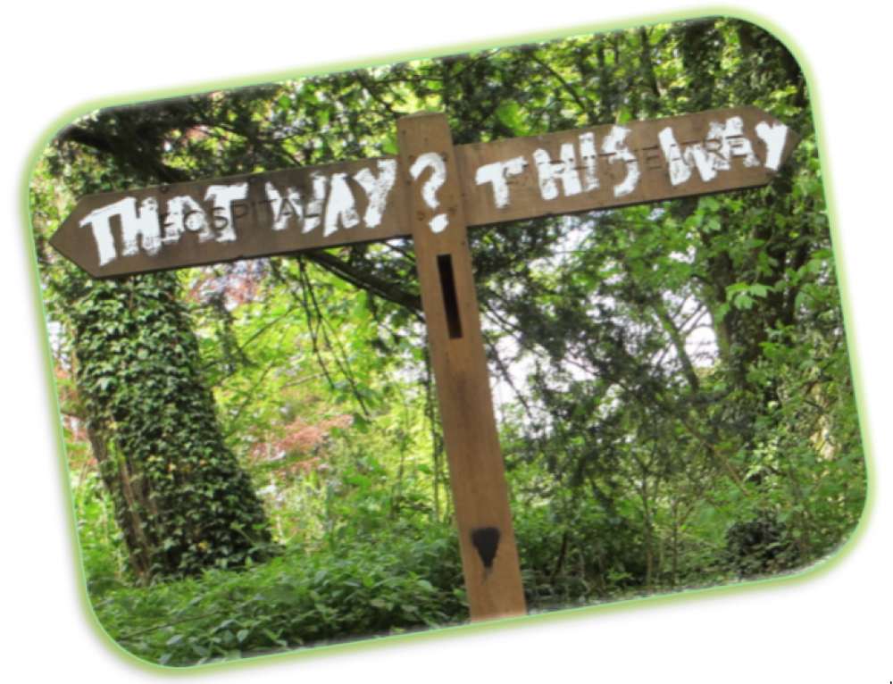 Towards a Radical Theology of Lay Ministry - Anglicanism.org